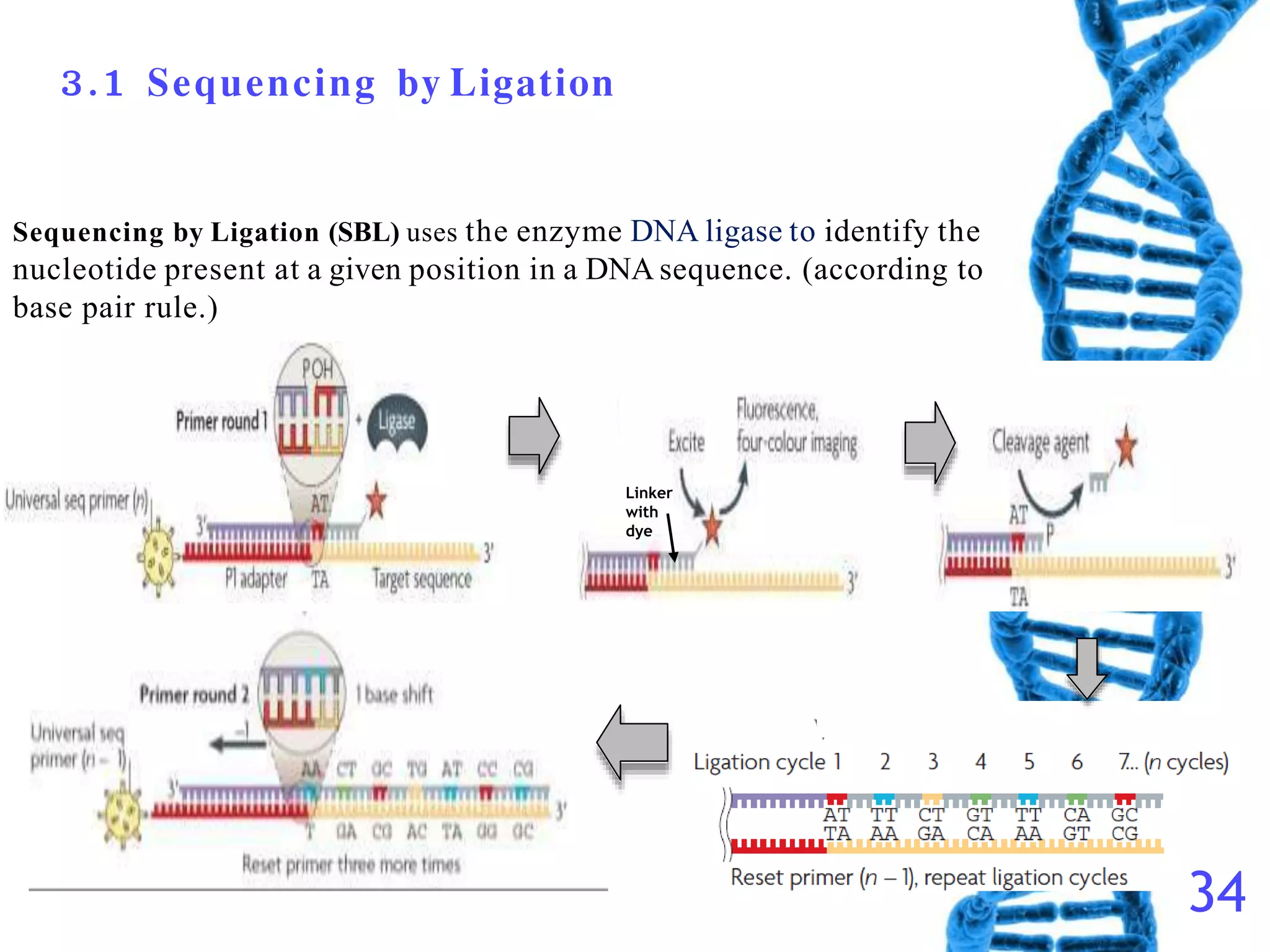 Gene sequencing technique | PPTX