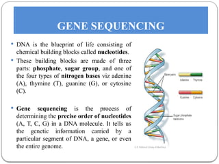 Gene Sequencing in Human Cell: The Process | PPTX