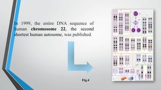 GENE SEQUENCING-compressedGene sequencing is a fundamental technique in ...
