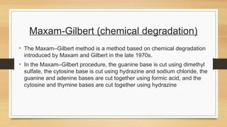 GENE SEQUENCING AND METHOD OF DNA Sequencing | PPTX