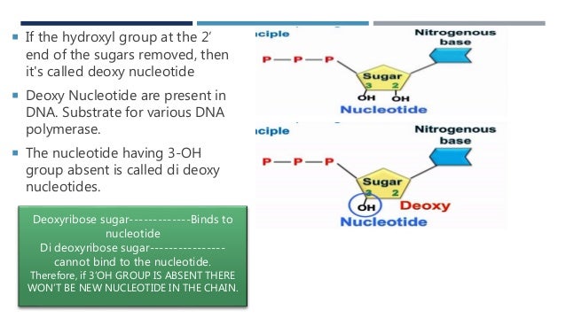Gene sequencing (pharmacology) (sem 1) | PPTX