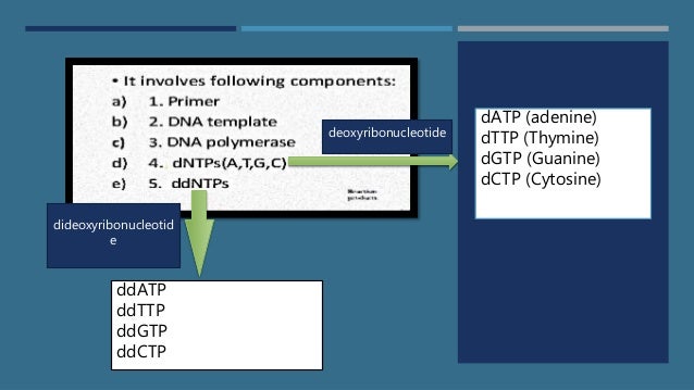 Gene sequencing (pharmacology) (sem 1) | PPTX