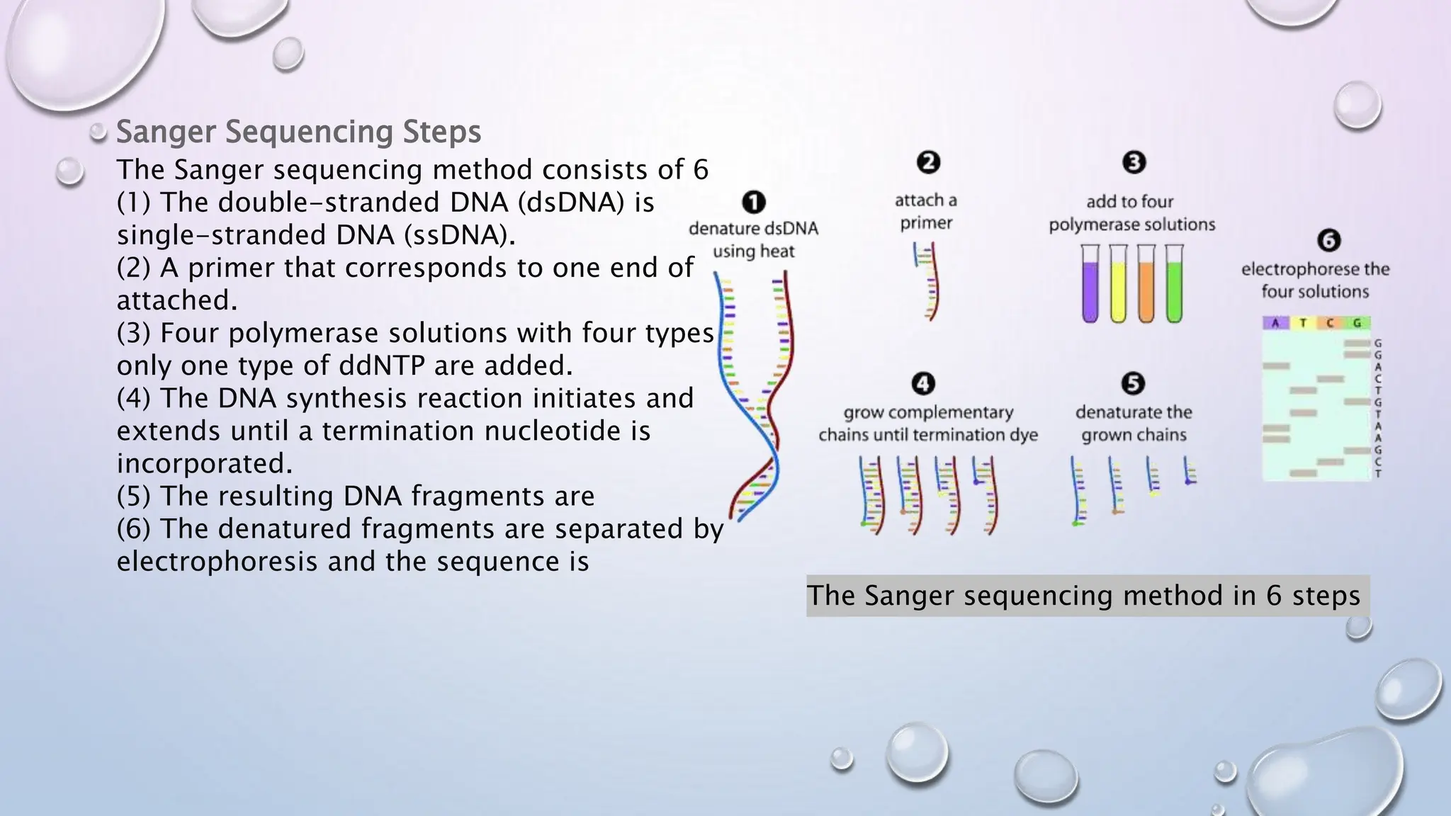 Gene Sequencing | maxam gilbert sequencing | sanger sequencing | PPTX