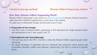 Gene Sequencing | maxam gilbert sequencing | sanger sequencing | PPTX