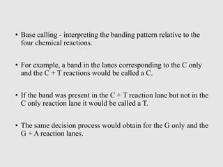 Gene sequencing methods | PDF