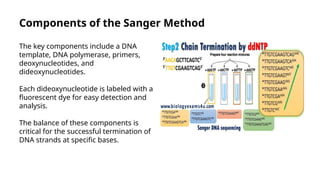 Gene Sequencing_ Sanger’s Dideoxy Method, Oregano Chemical Gene ...