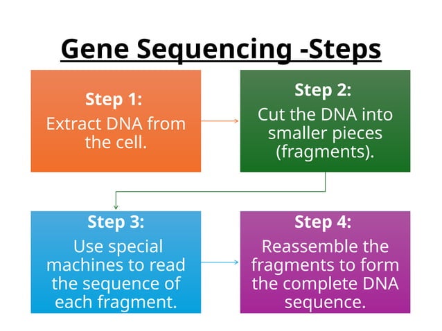 GENE SEQUENSING.pptx pharmcology tocxicology | PPTX | Genetics | Science
