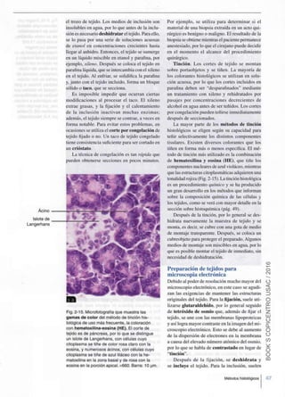Geneser Histologia 4a Ed_booksmedicos.org.pdf