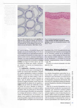 Geneser Histologia 4a Ed_booksmedicos.org.pdf