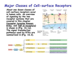 gene signaling and its application in tissue engineering | PPT