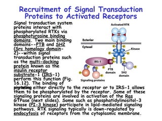 gene signaling and its application in tissue engineering | PPT