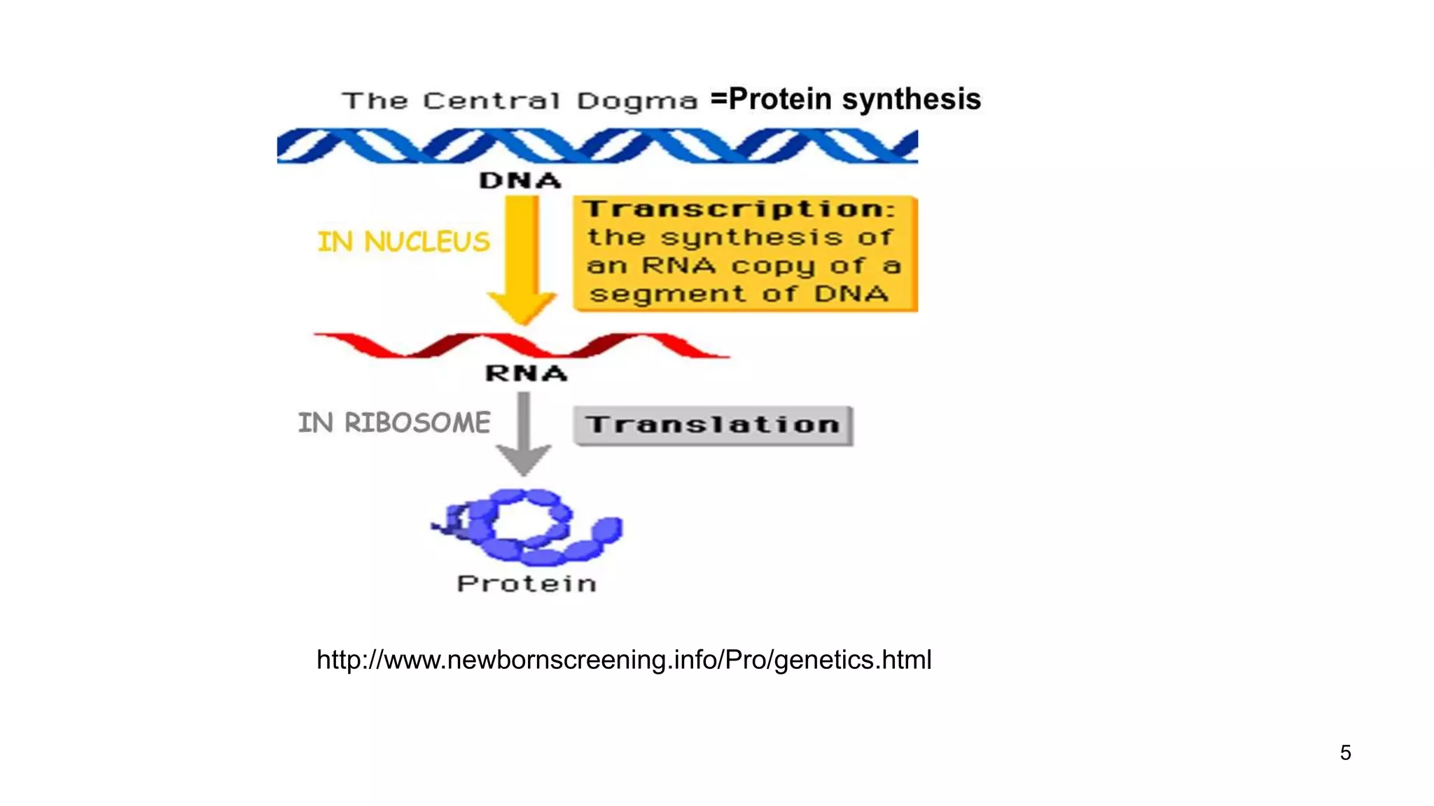 Gene silencing | PPTX
