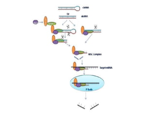 Gene silencing | PPTX