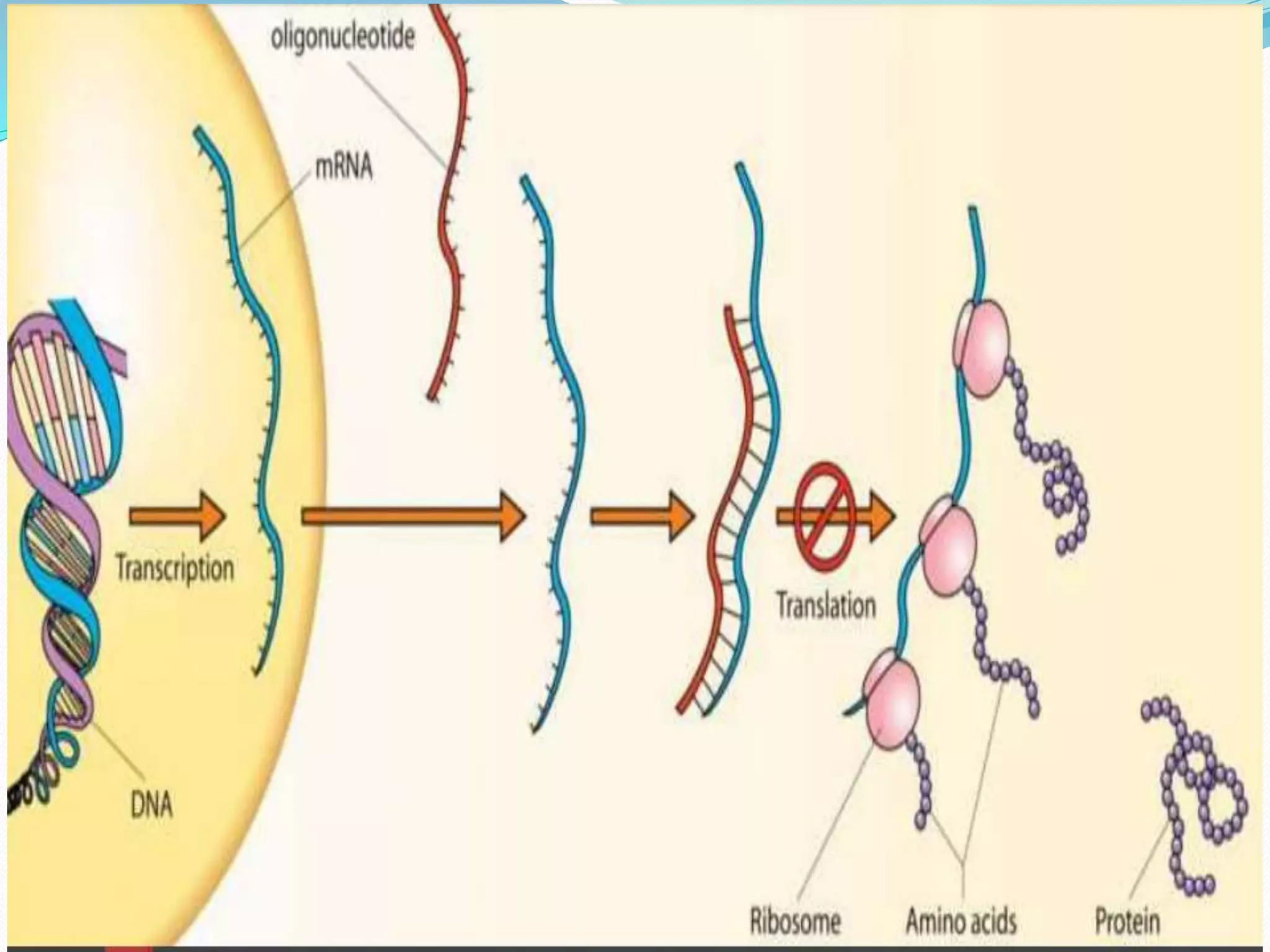 Gene silencing | PPT