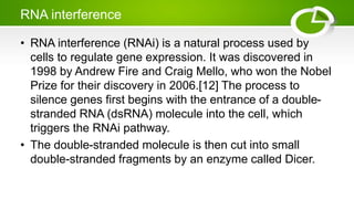 Gene silencing | PPT
