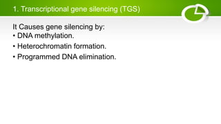 Gene silencing | PPT