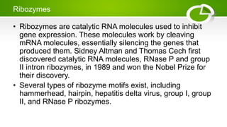 Gene silencing | PPT