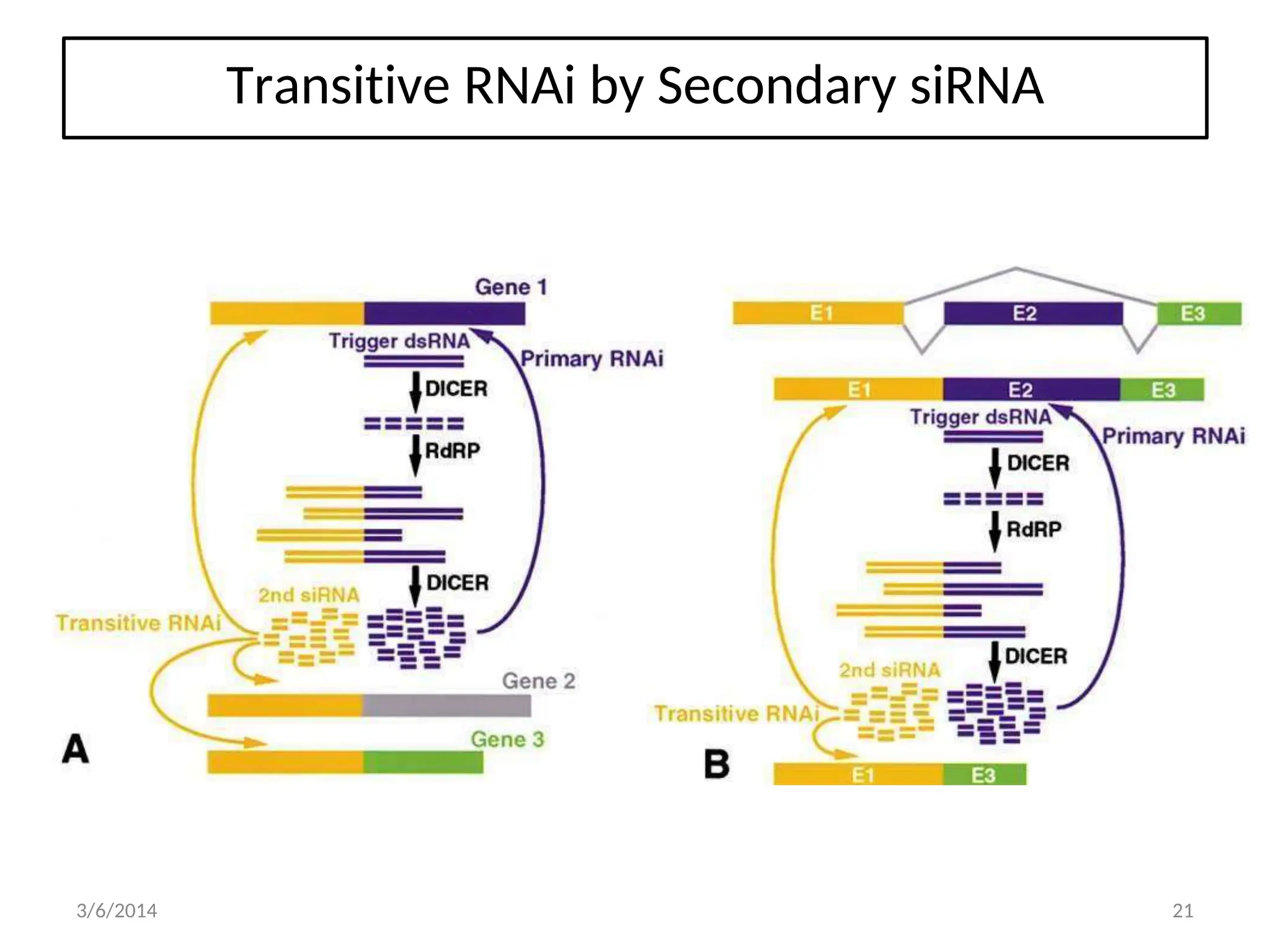 gene silencing method Gene silencing is generally defined as an ...