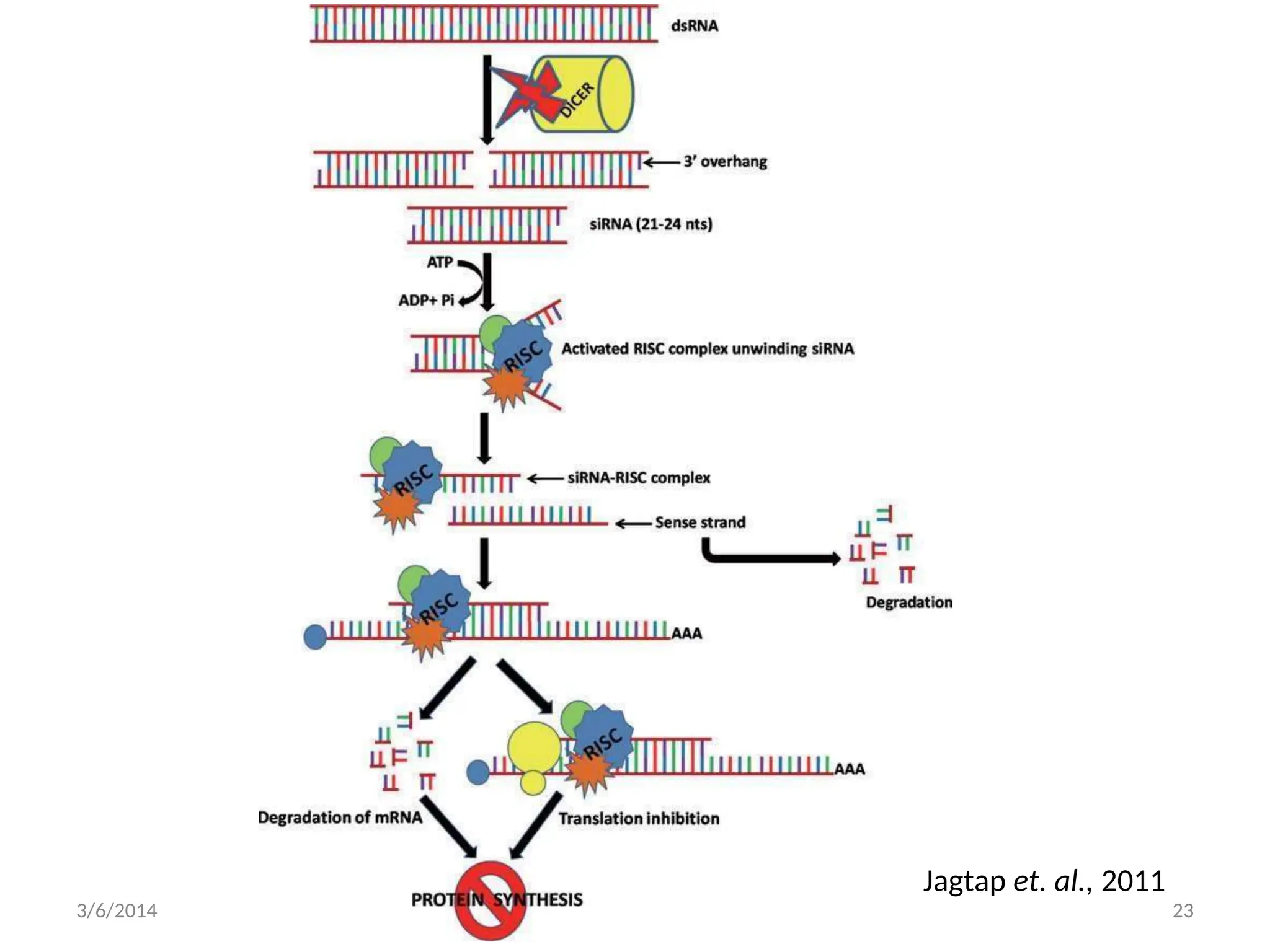 gene silencing method Gene silencing is generally defined as an ...