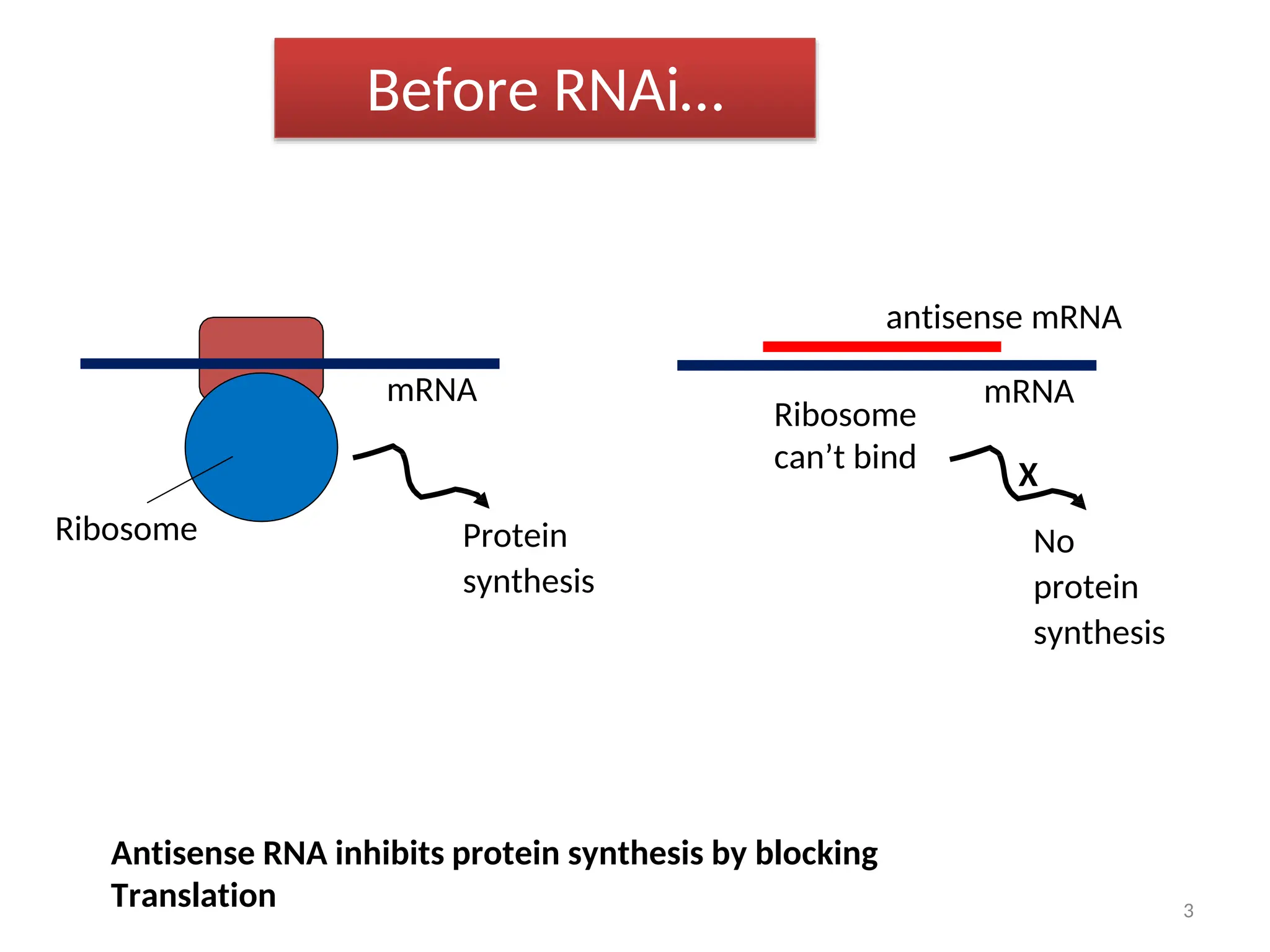 gene silencing method Gene silencing is generally defined as an ...
