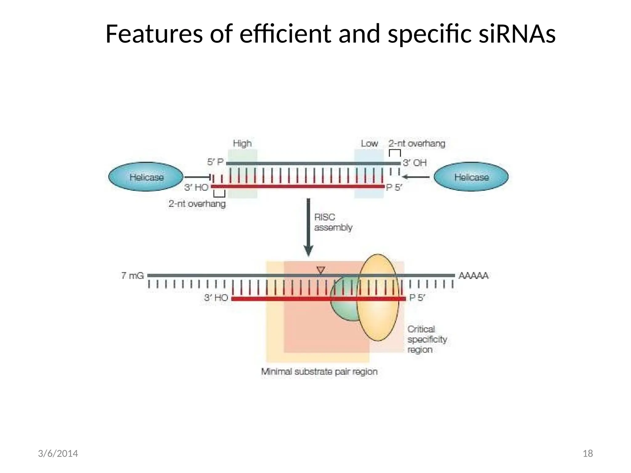 gene silencing and various methods .pptx