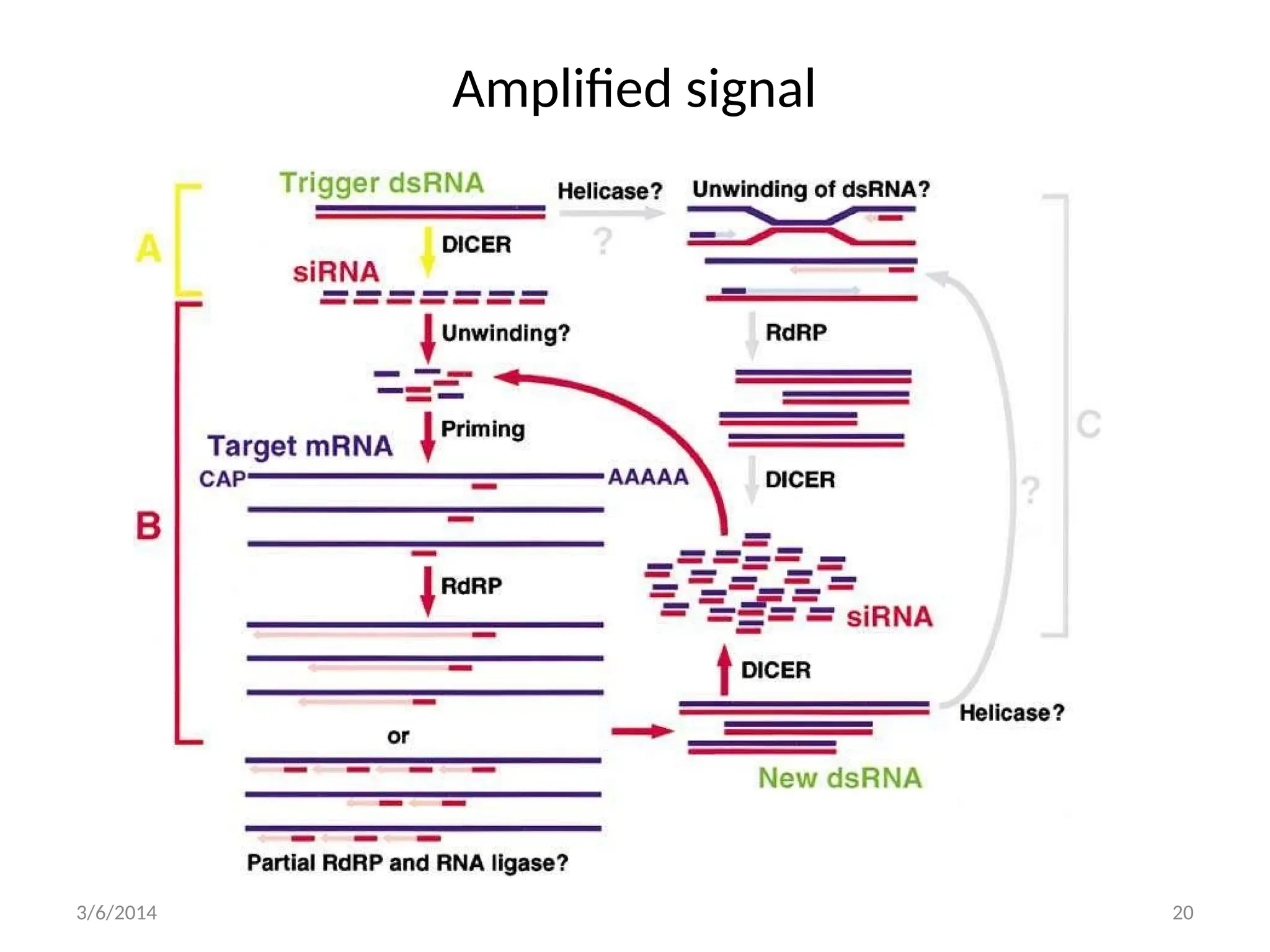 gene silencing and various methods .pptx