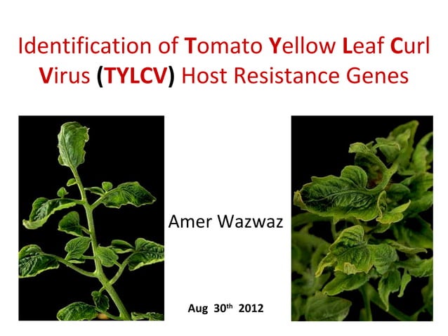 Gene silencing assaf's paper | PPT