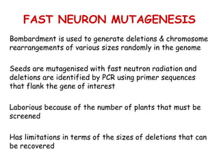 Gene silencing assaf's paper | PPT