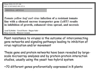 Gene silencing assaf's paper | PPT