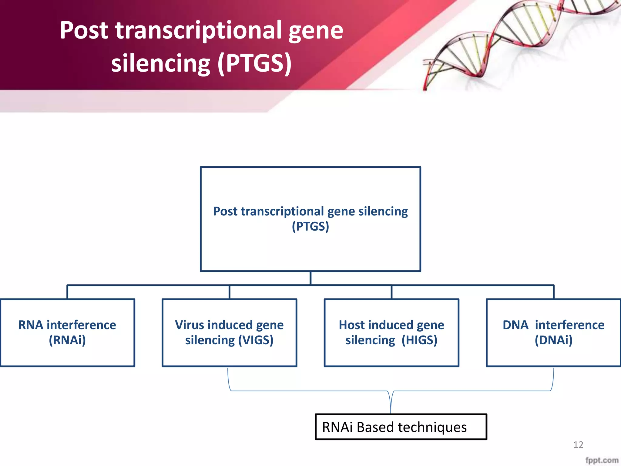 Gene silencing and its application in crop improvement | PPTX