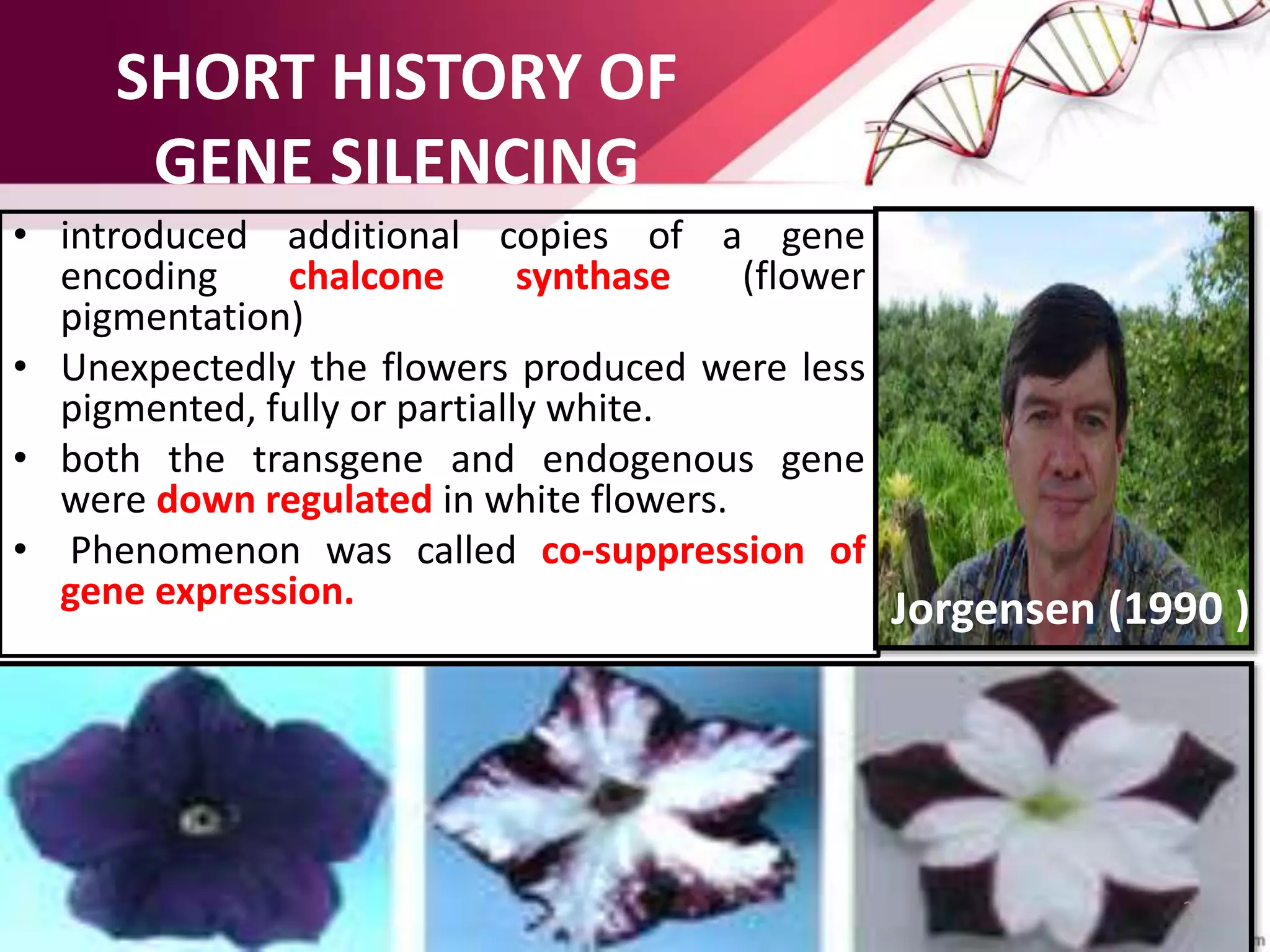 Gene silencing and its application in crop improvement | PPTX