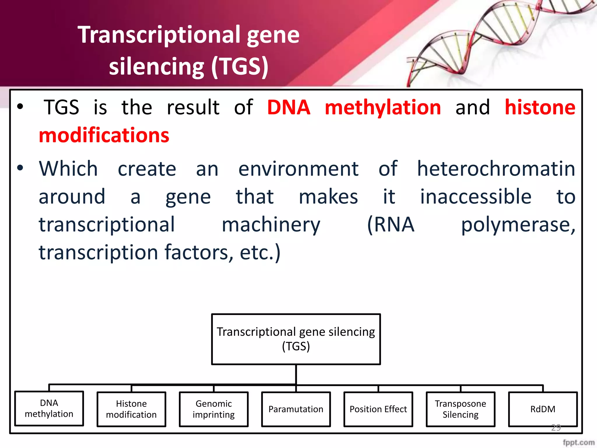 Gene silencing and its application in crop improvement | PPTX