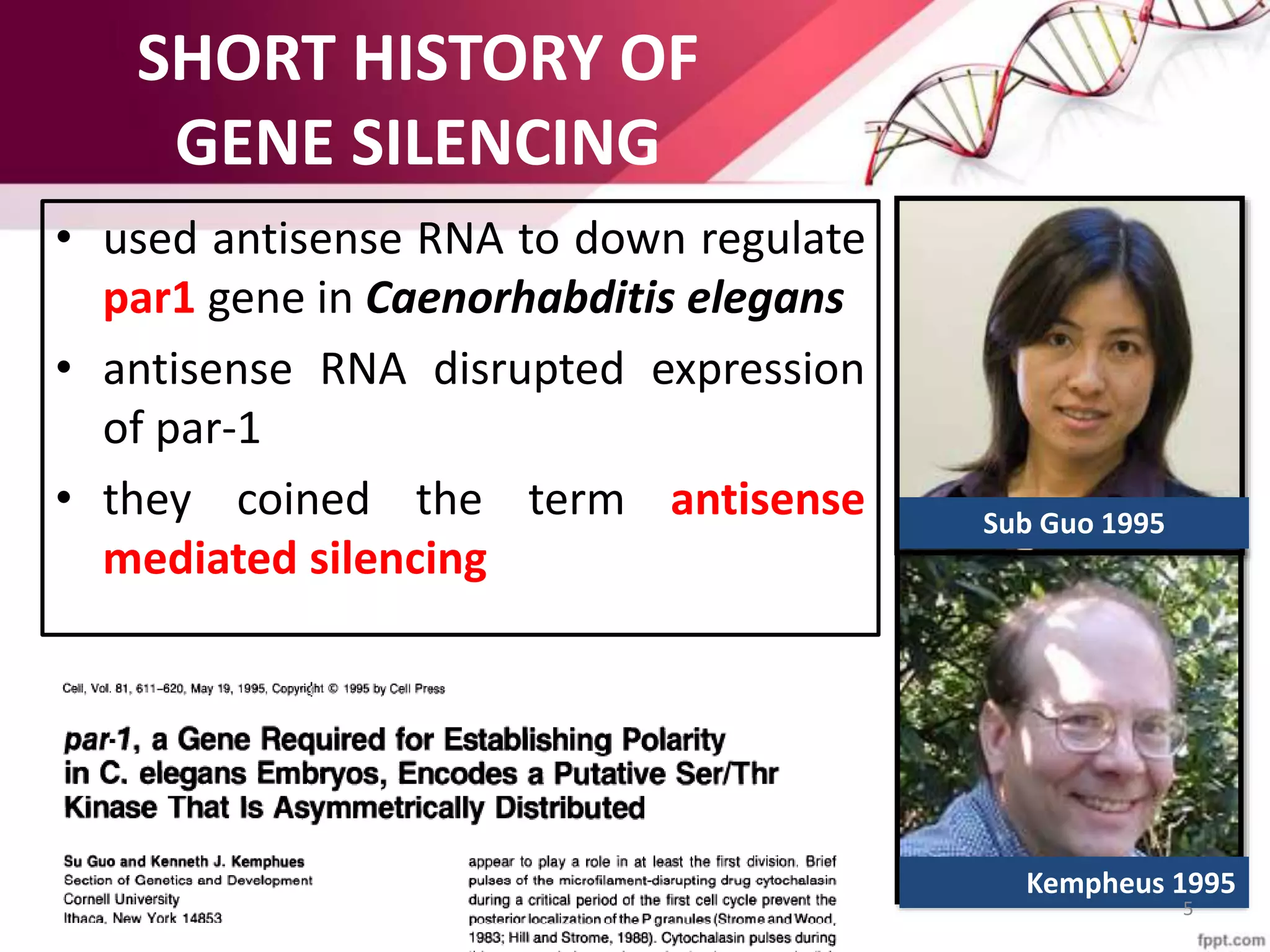 Gene silencing and its application in crop improvement | PPTX