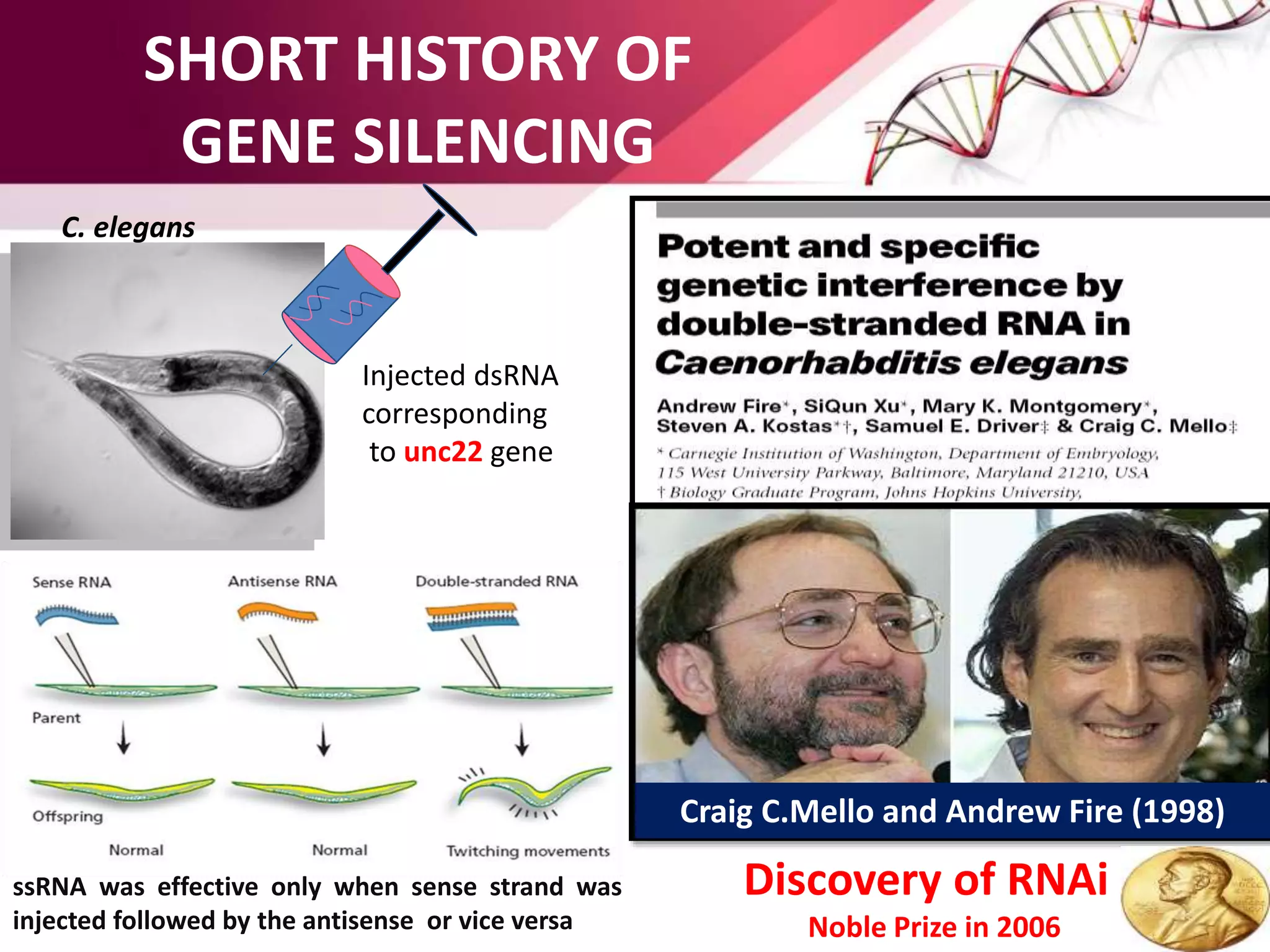 Gene silencing and its application in crop improvement | PPTX