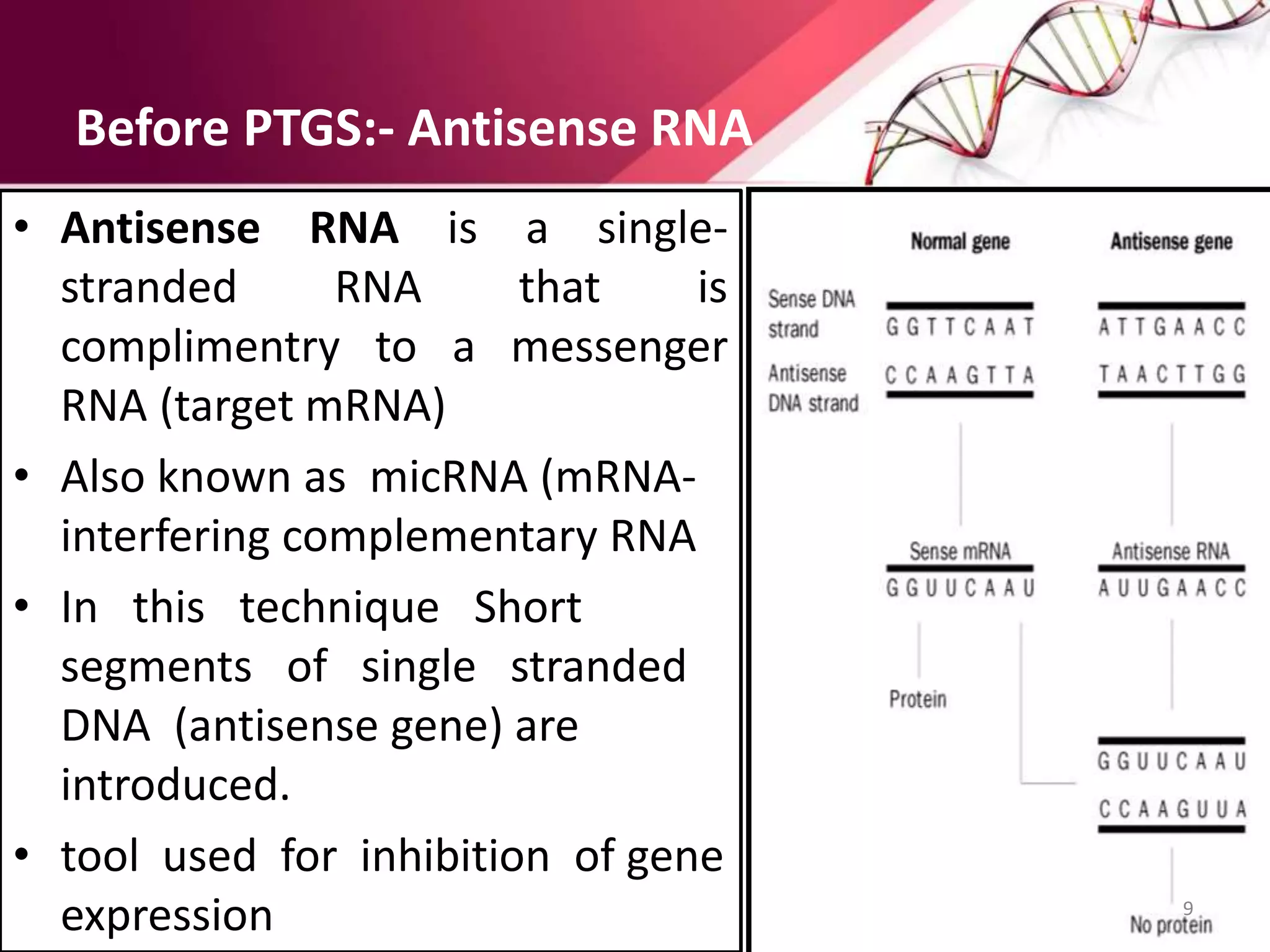 Gene silencing and its application in crop improvement | PPTX