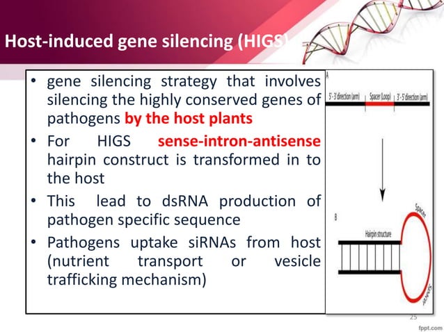 Gene silencing and its application in crop improvement | PPTX