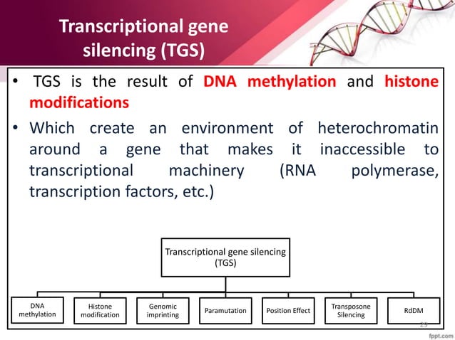 Gene silencing and its application in crop improvement | PPTX