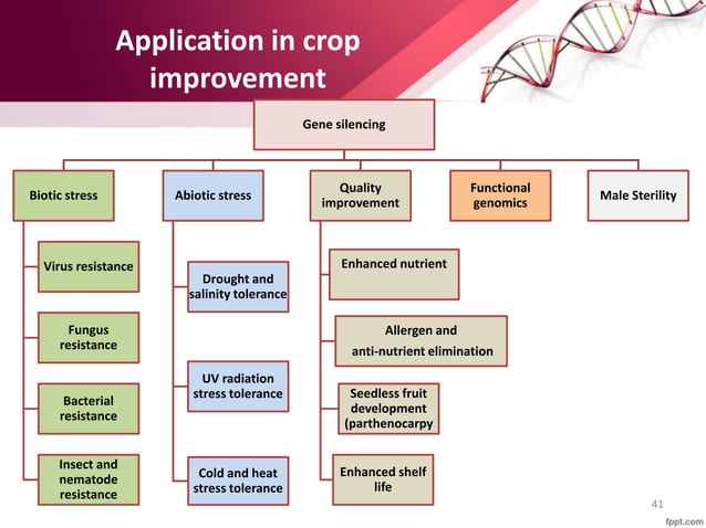 Gene silencing and its application in crop improvement | PPTX