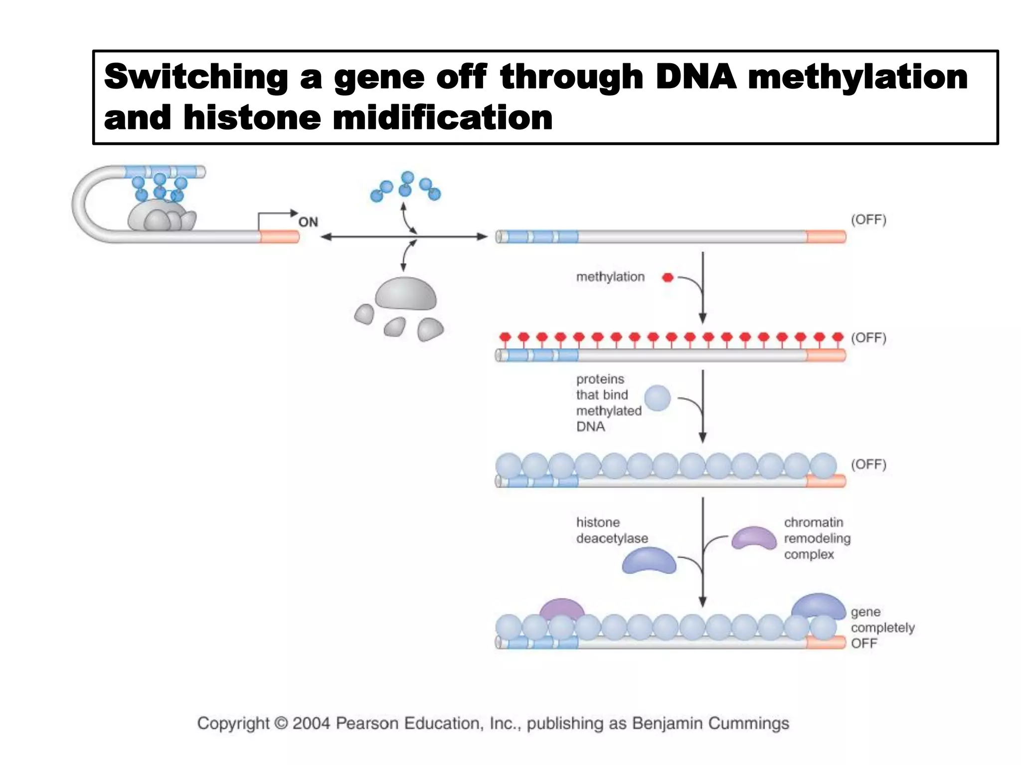 Gene silencing and its significance | PDF
