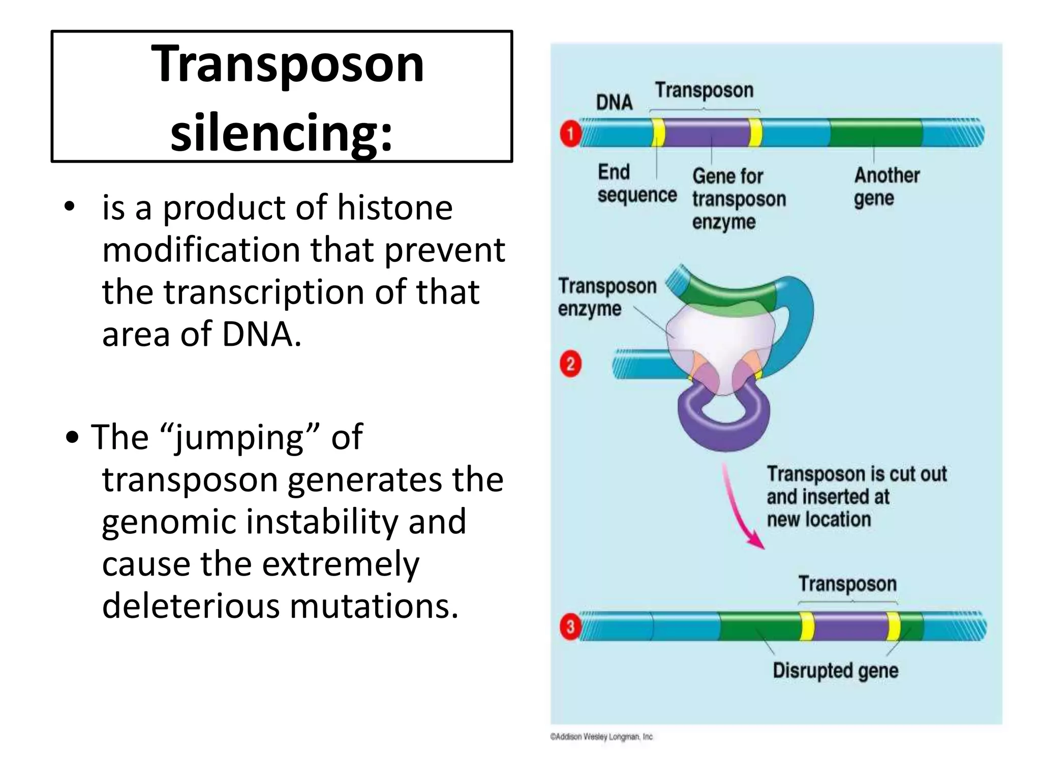 Gene silencing and its significance | PDF