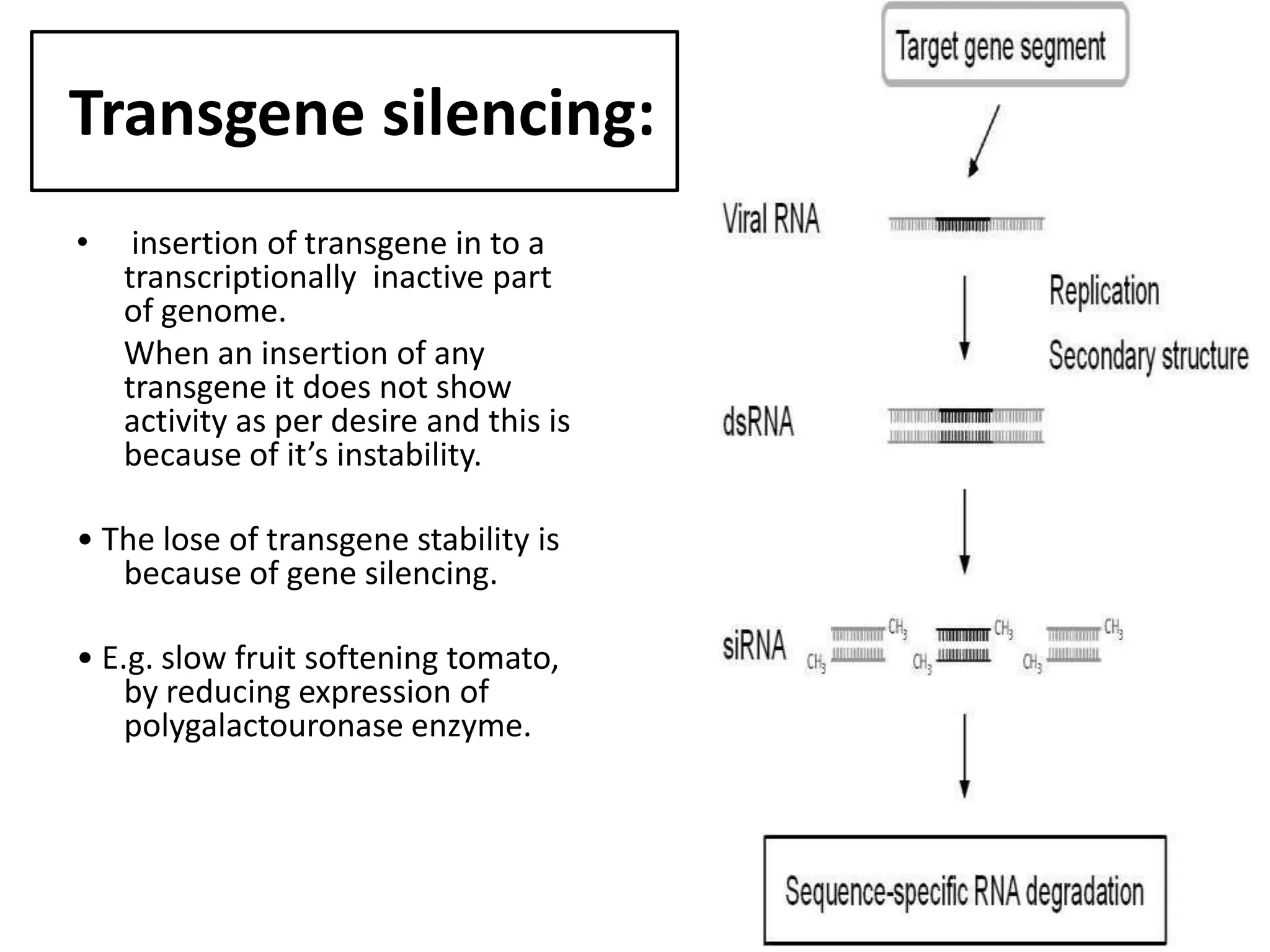 Gene silencing and its significance | PDF
