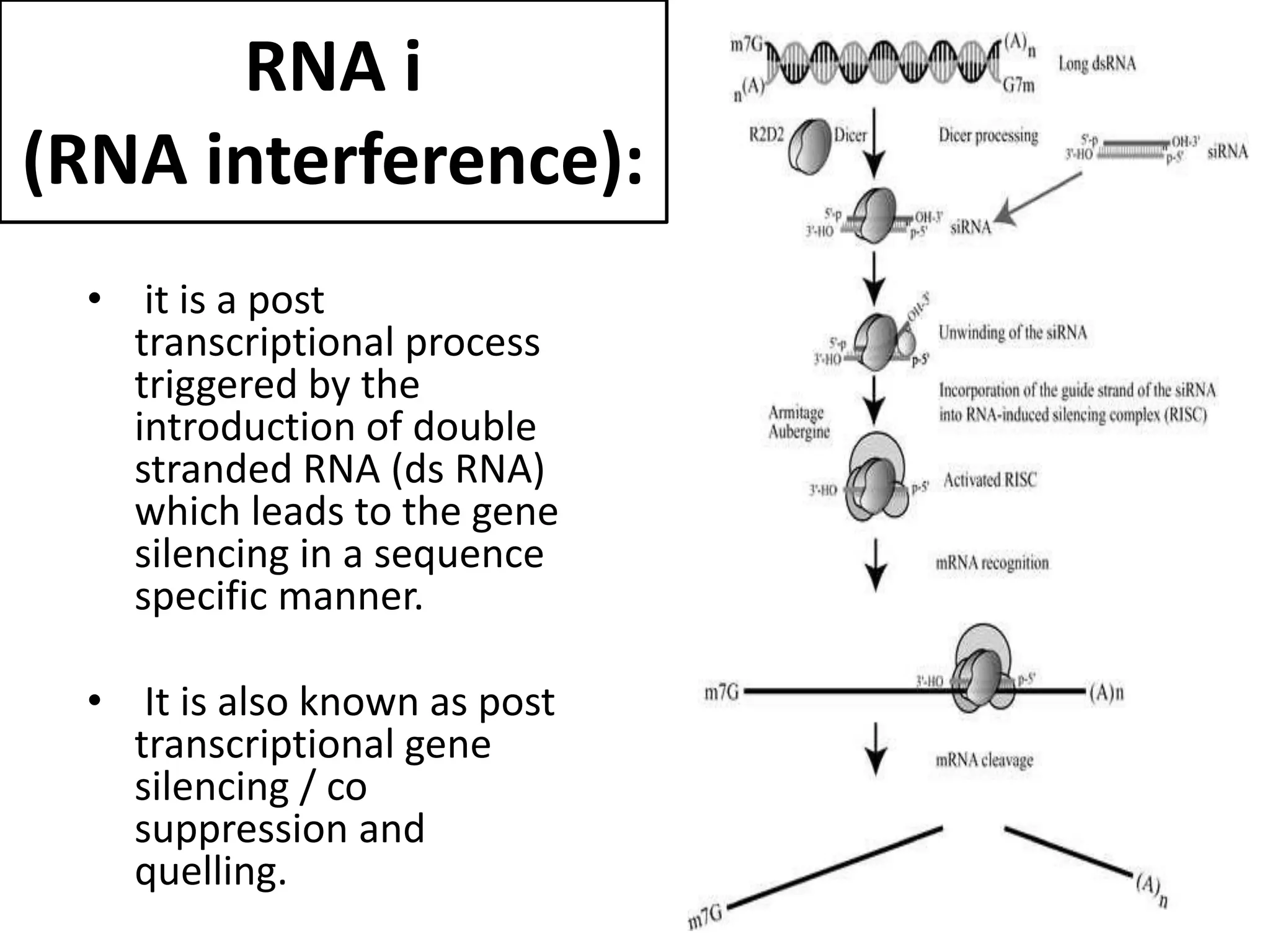 Gene silencing and its significance | PDF