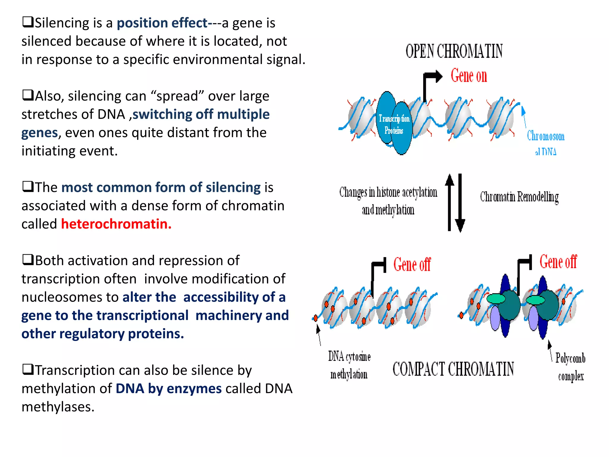 Gene silencing and its significance | PDF