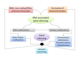 Gene silencing and its significance | PDF