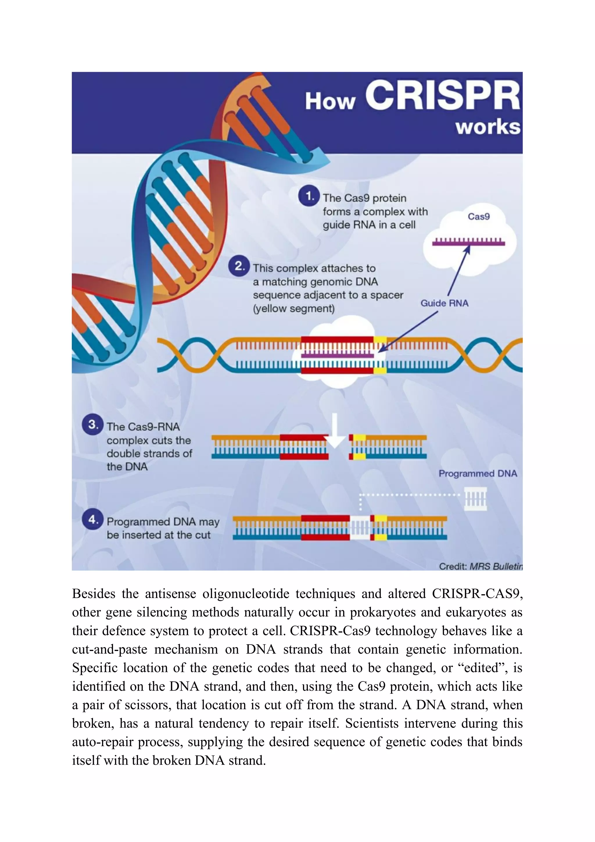 Gene silencing and rnai | PDF