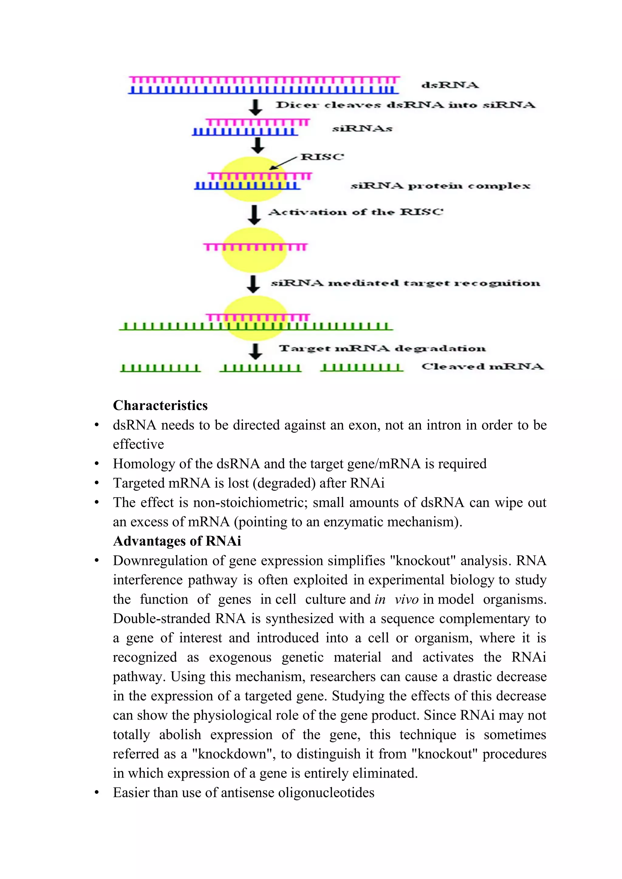 Gene silencing and rnai | PDF