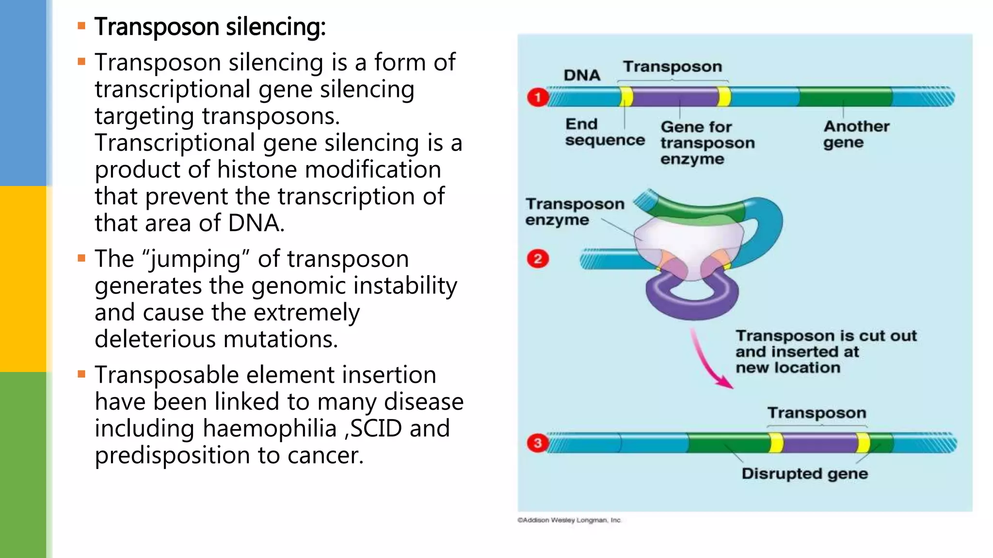 Gene silencing | PPTX