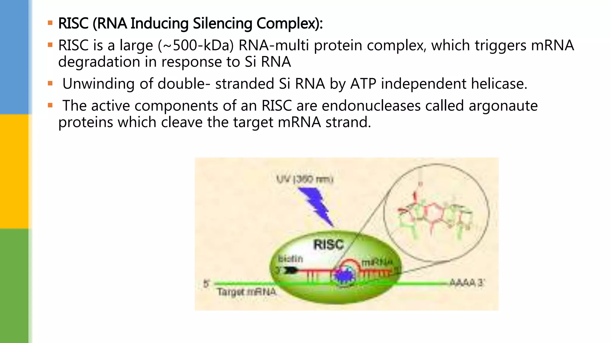 Gene silencing | PPTX