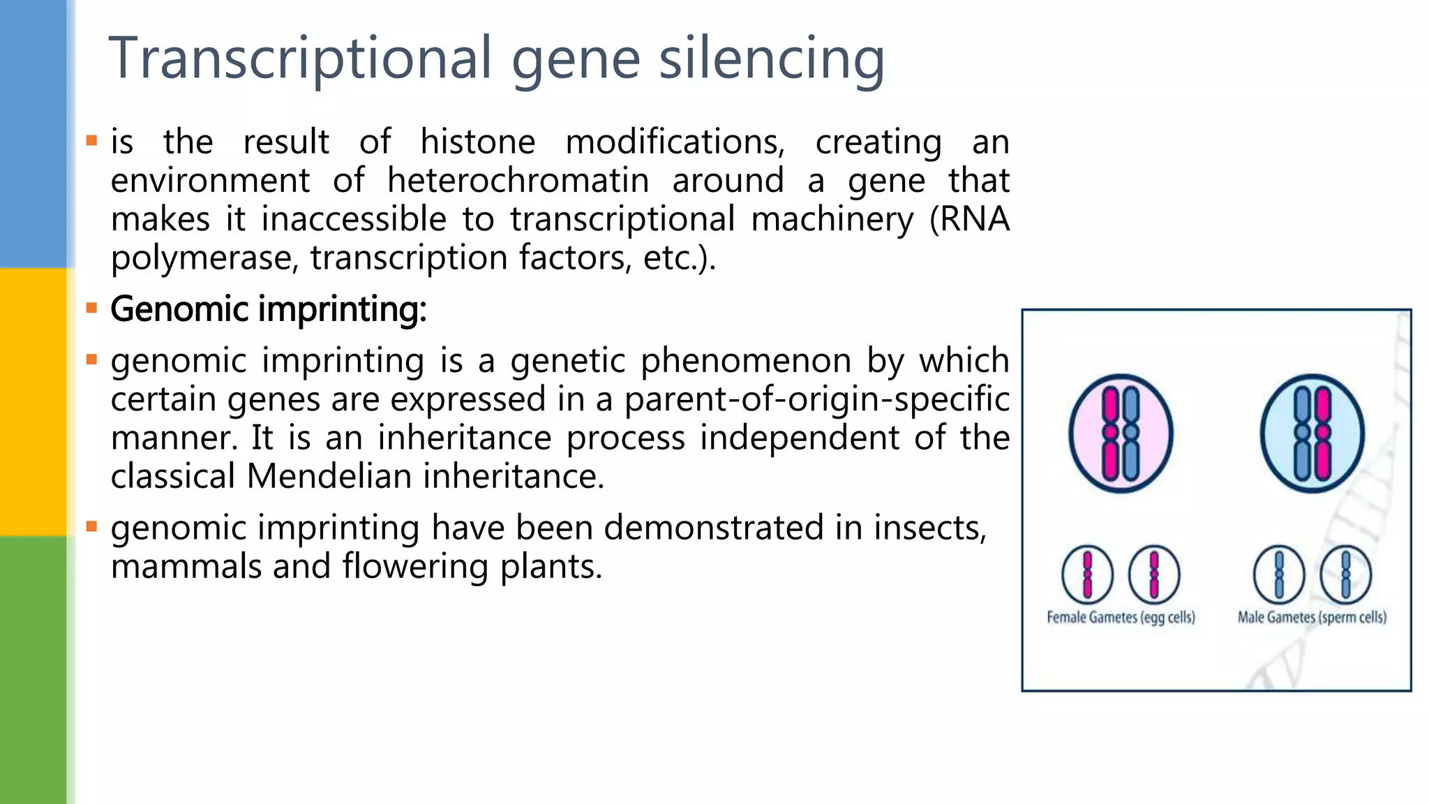 Gene silencing | PPTX