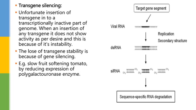 Gene silencing | PPTX | Genetics | Science